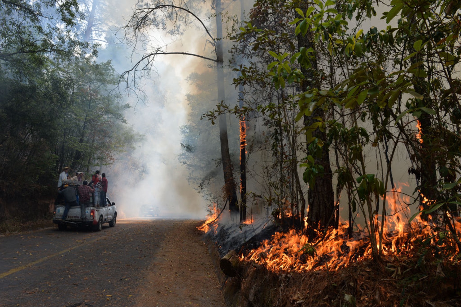 Mexico Is Fighting Over 100 Active Wildfires Amid a Heat Wave - Drive ...