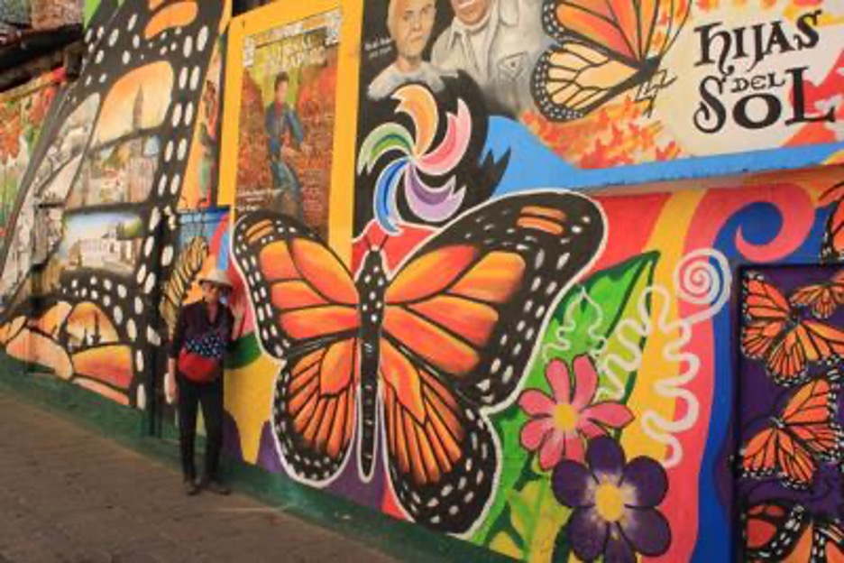 My multicoloured monarch butterfly adventure in Mexico was pure magic