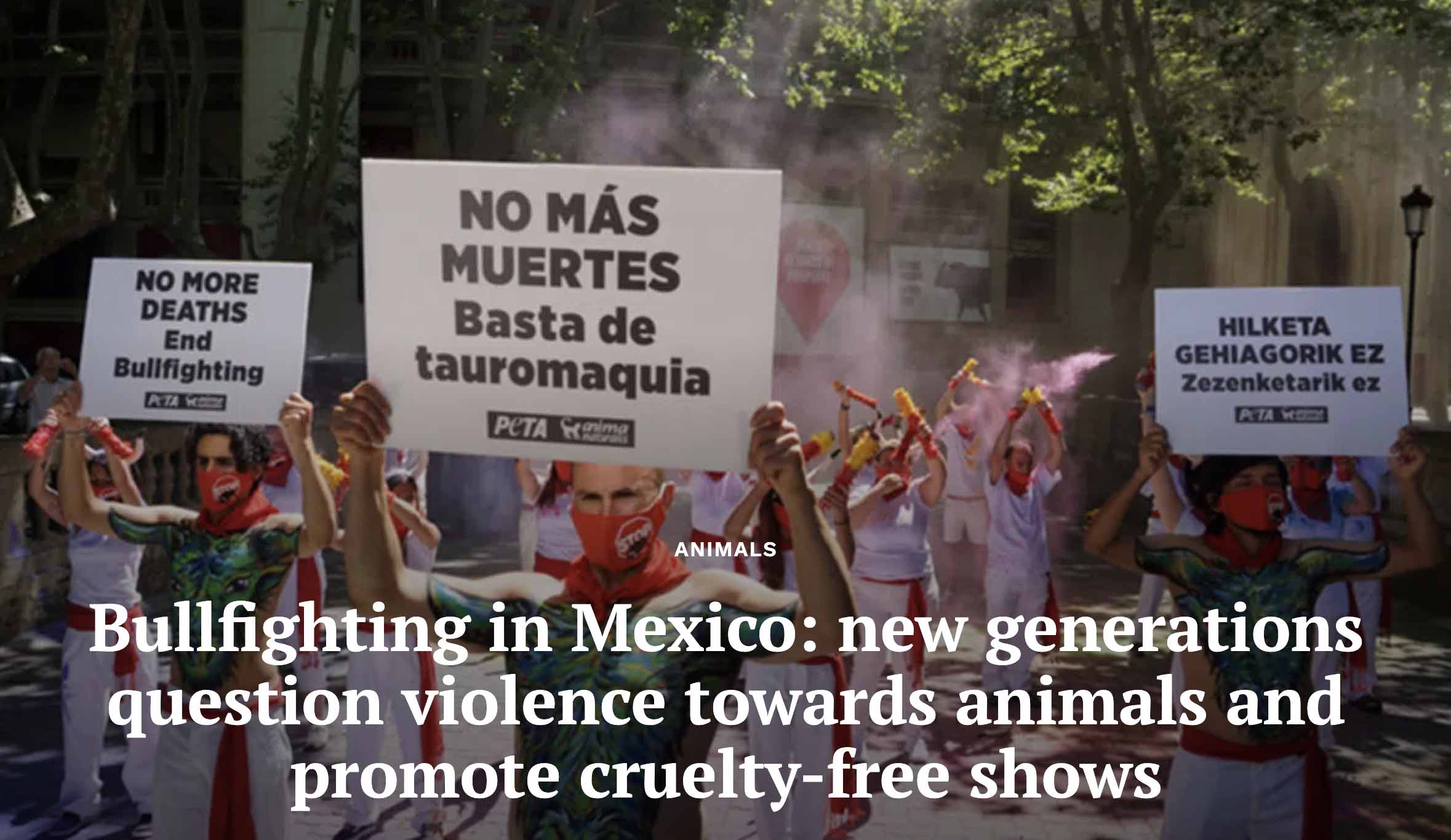 Bullfighting in Mexico: new generations question violence towards ...